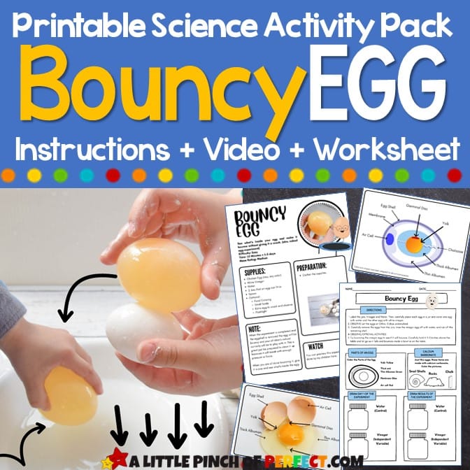 Bouncy Egg Experiment Easy Science Directions, Worksheets + Video - A ...