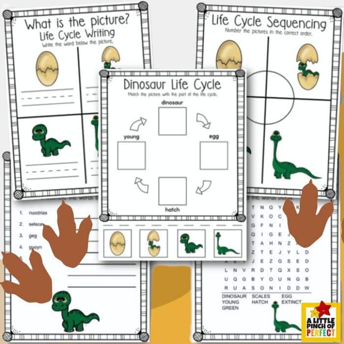 Dinosaur Life Cycle Activity Pack: Free Worksheets - A Little Pinch of ...