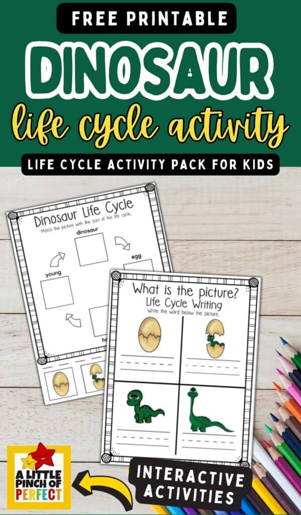 Dinosaur Life Cycle Activity Pack: Free Worksheets - A Little Pinch of ...