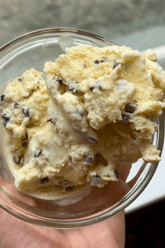 Homemade Animal Based Ice Cream (No Machine Needed!) - Ash Esthetics