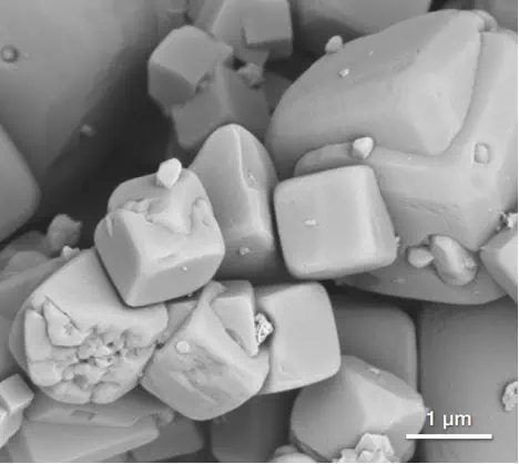 FEG-SEM | Field Emission Gun | Scanning Electron Microscopy