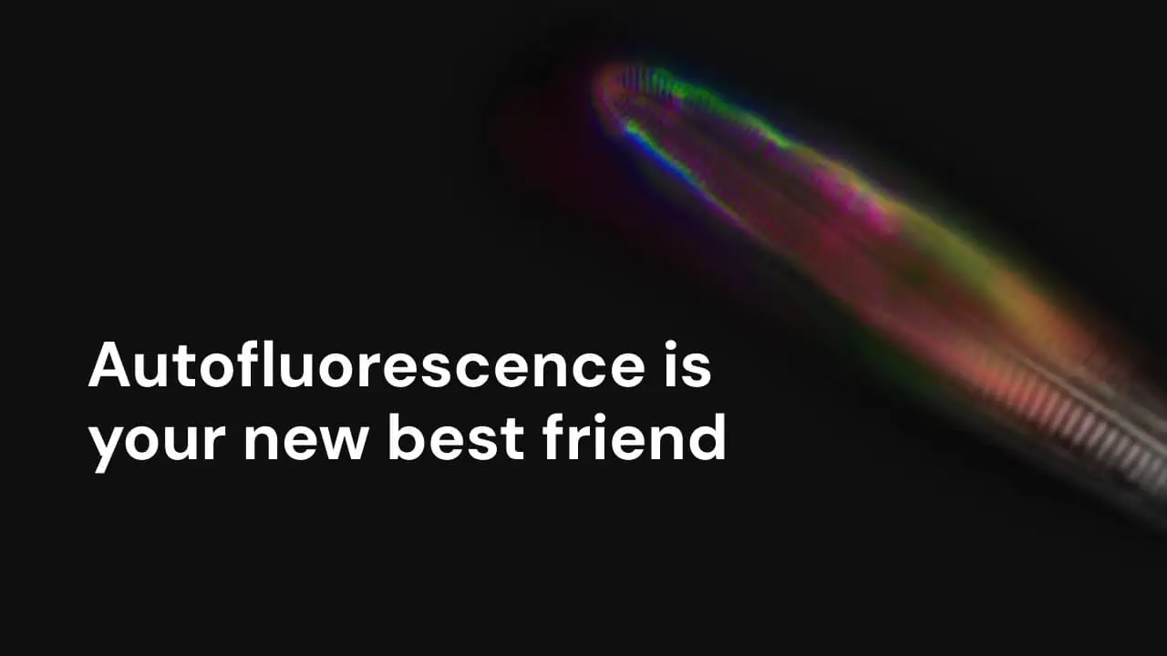 Widefield O-PTIR Microscope | Photothermal MIRage | Nordic