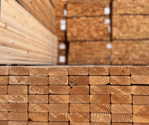 Cielo Digital Infrastructure, Hampton Lumber Invest $2.25B In South ...