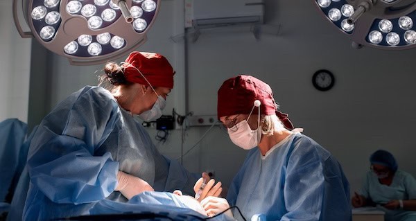 Site Selection & Economic Development in New England (USA)