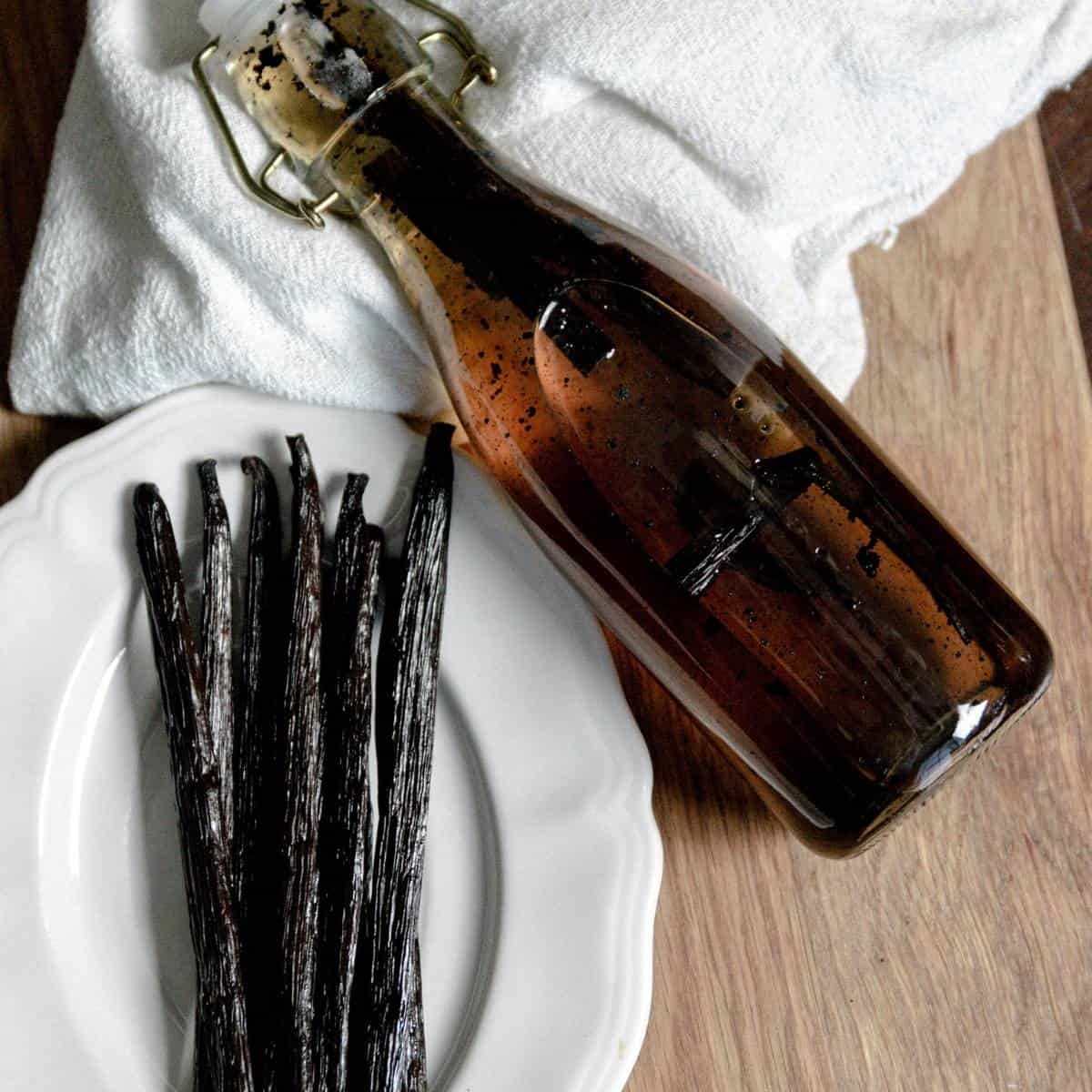 Madagascar Vanilla Bean Simple Syrup — Capturing Wonderland