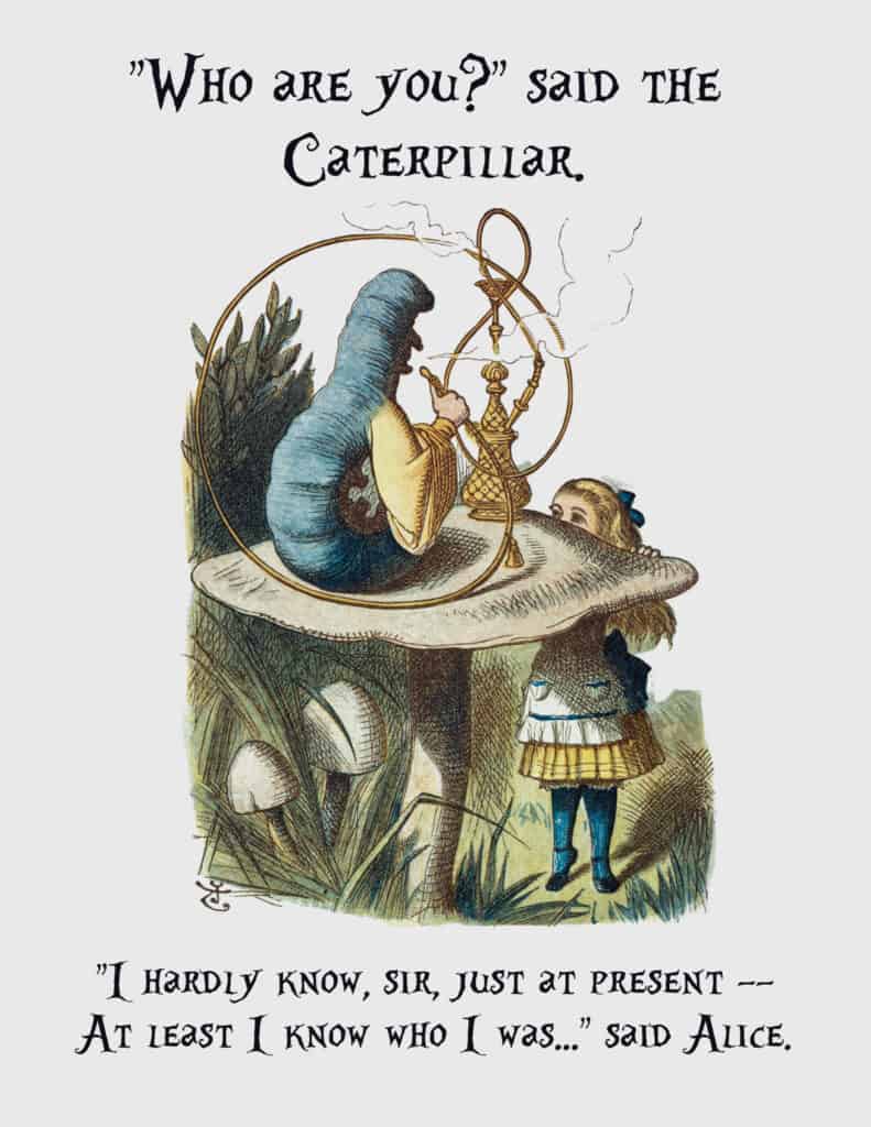 Alice In Wonderland Quotes 2010 Alice In Wonderland Quote, Before She