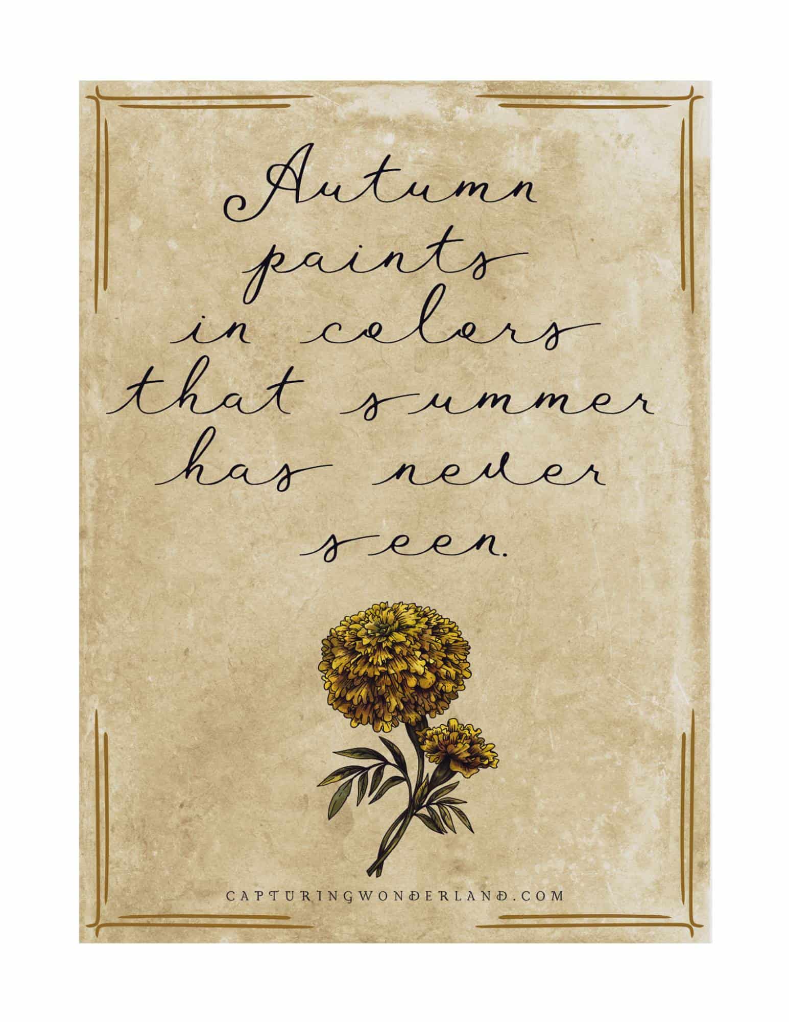 Fall Signs to Decorate for Autumn Free Printables — Capturing Wonderland