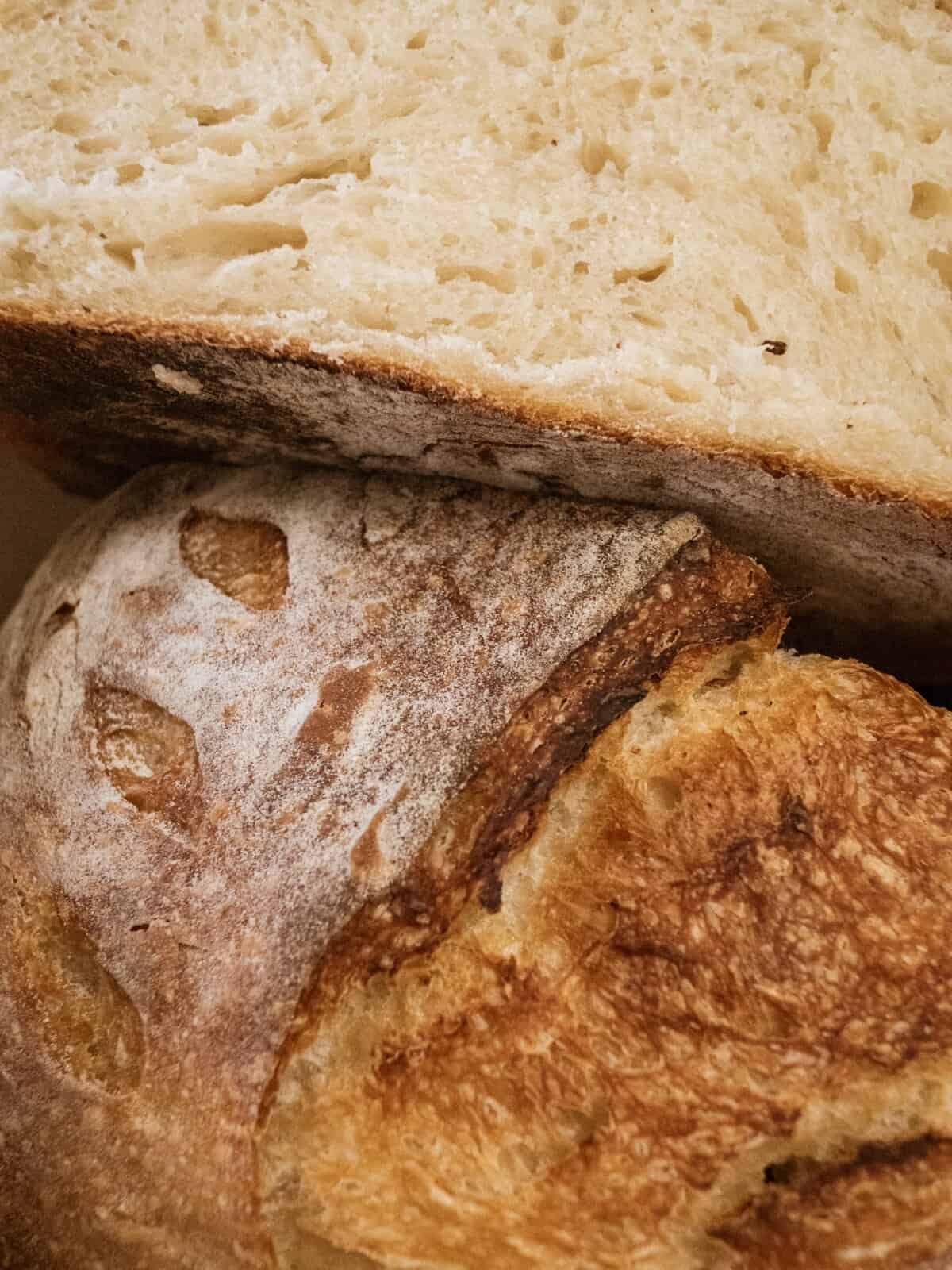 Sourdough Glossary: Baking Terms for Beginner's — Capturing Wonderland