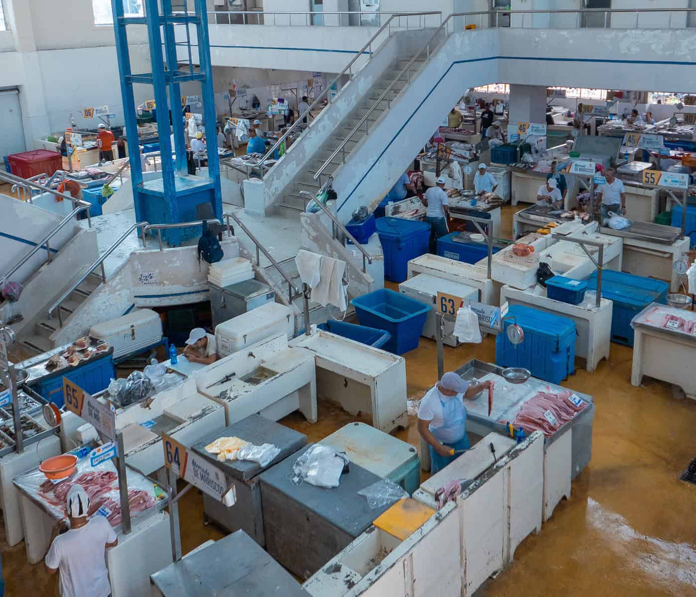 Casco Viejo Fish Market: Authentic Panamanian Culture
