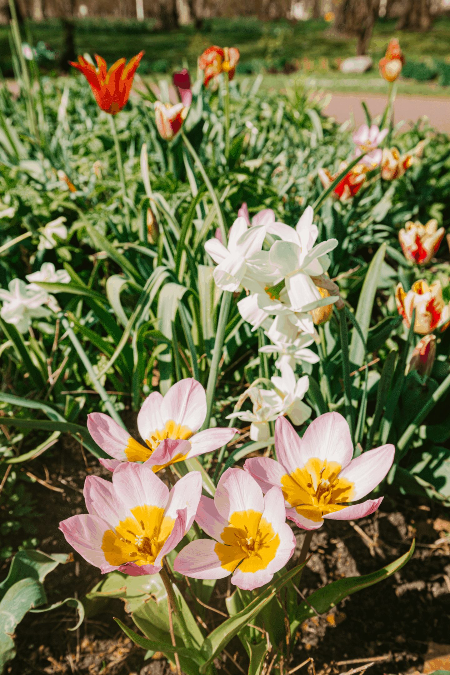 Where to See Gorgeous Spring Flowers in London 2026 - Candace Abroad