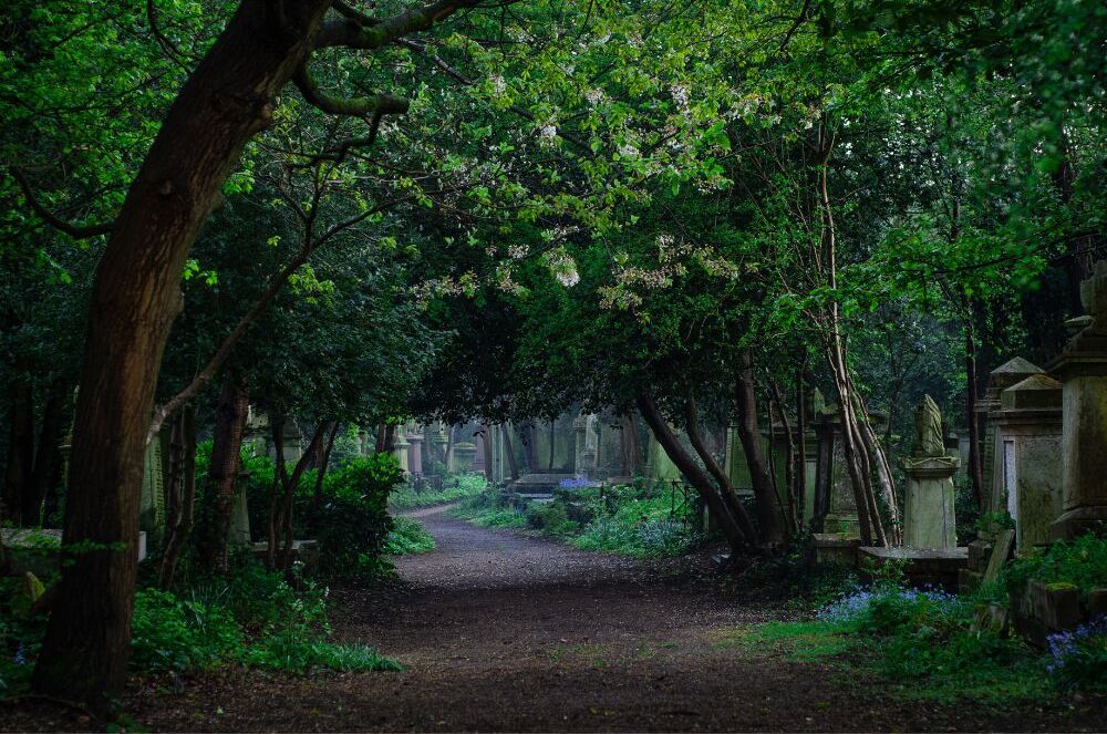 16 Best Things to Do in Highgate, London (2026) - Candace Abroad