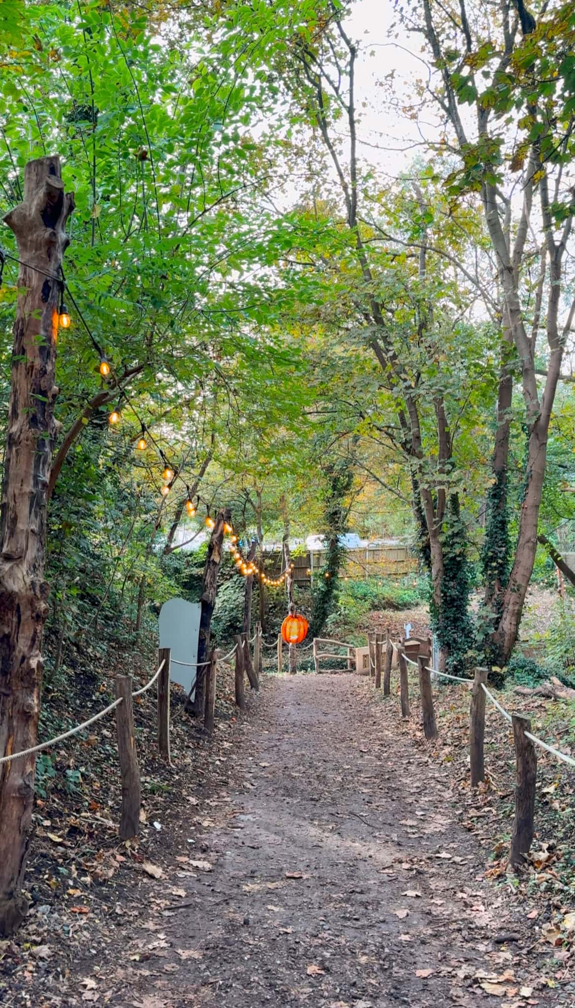 Hobbledown Heath Pumpkin Patch 2026: A Londoner’s Guide to Visiting ...