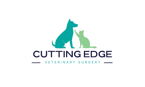 Cruciate Ligament Surgery Aftercare | Cutting Edge Vet