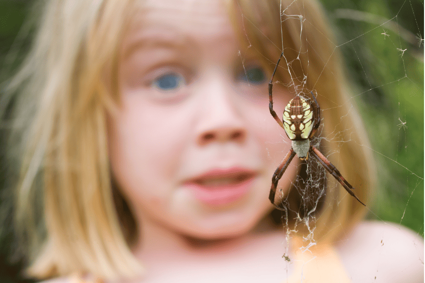 Overcome Fear of Spiders with Hypnotherapy – Darren Carter