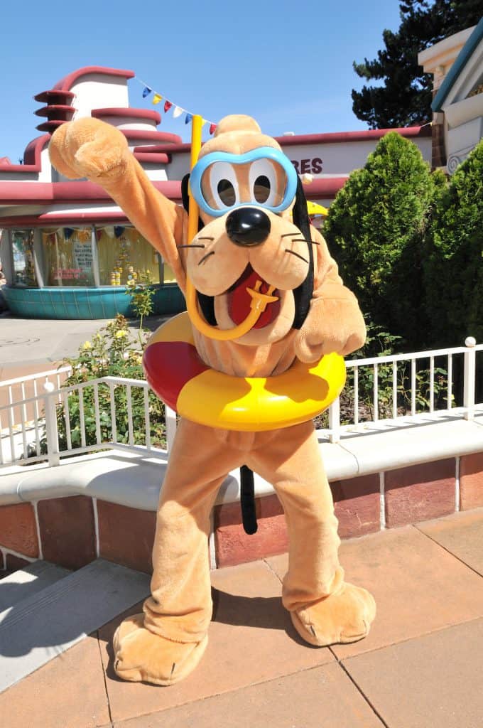 pluto dog disney world