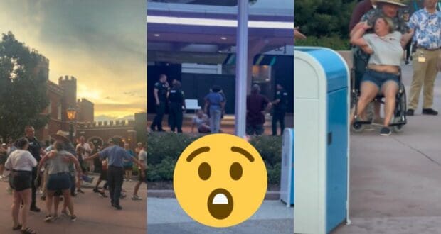 Multiple Videos Capture an Extremely Disorderly Guest at EPCOT