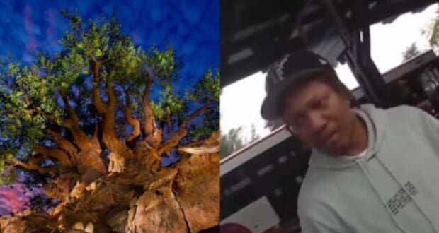 VIDEO Released of Fugitive Caught at Walt Disney World