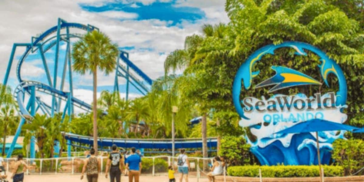 Government Investigation Launched: SeaWorld Finally Responds After ...