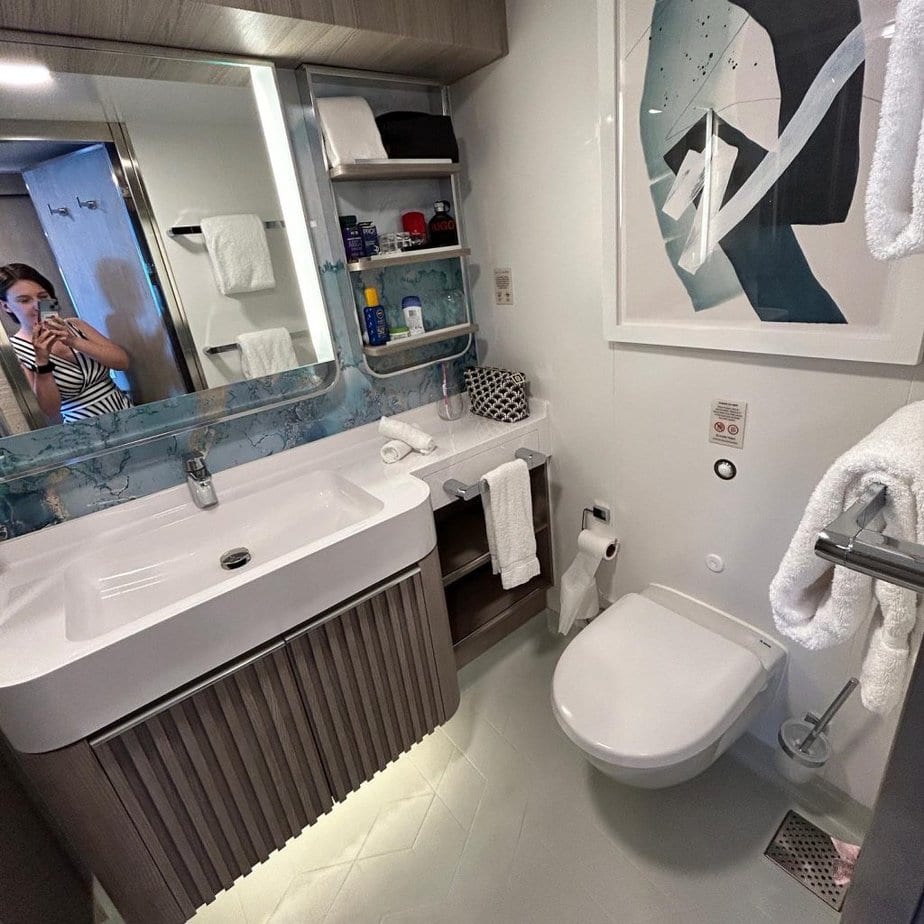 Cruise Ship Toilets: What Happens When You Flush? Step by Step Guide ...