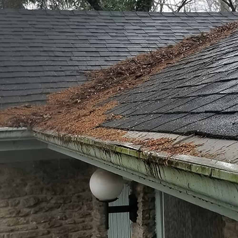 Contact Ever Clean in Raleigh NC | Ever Clean Clog-Free Gutter Systems ...