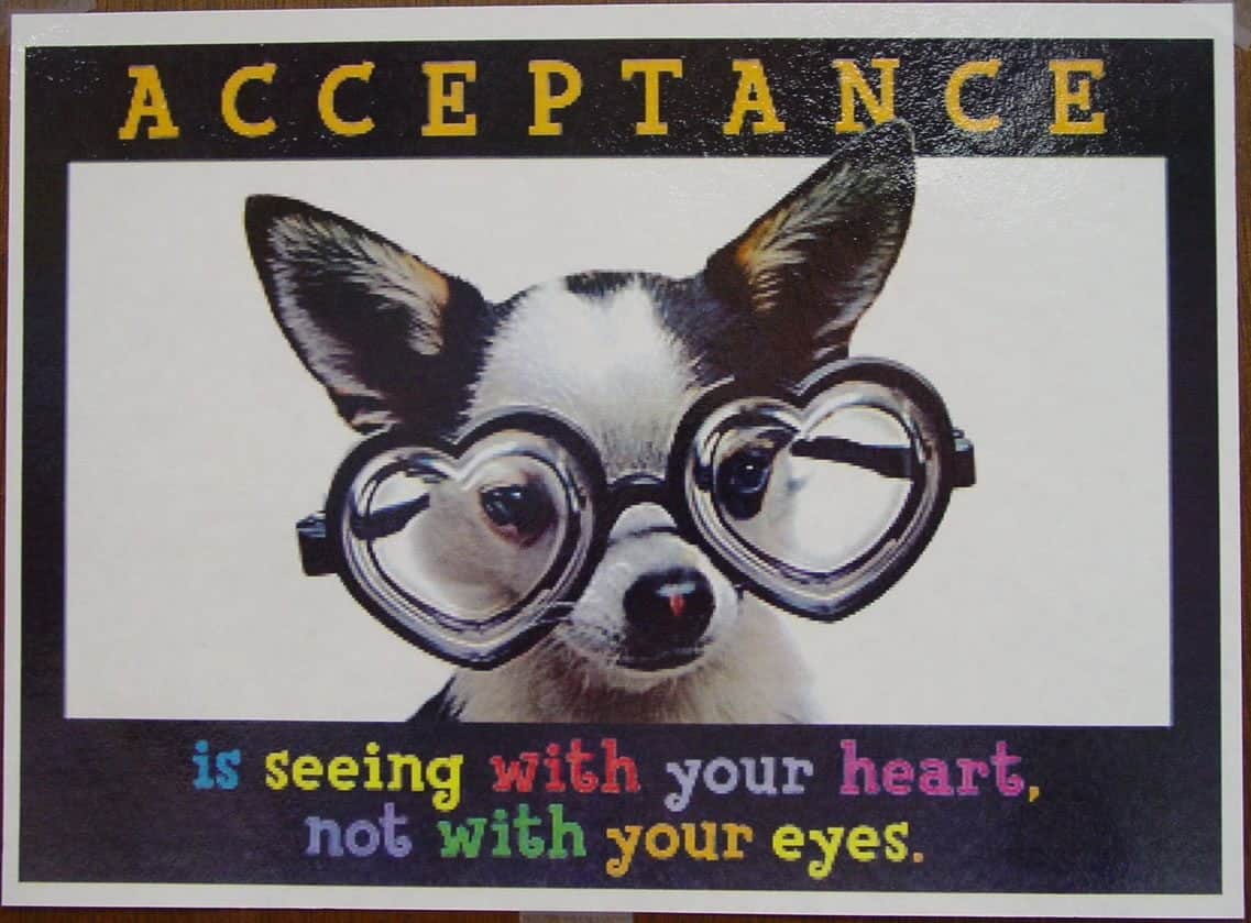 Why Acceptance Matters in Management for Better Outcomes