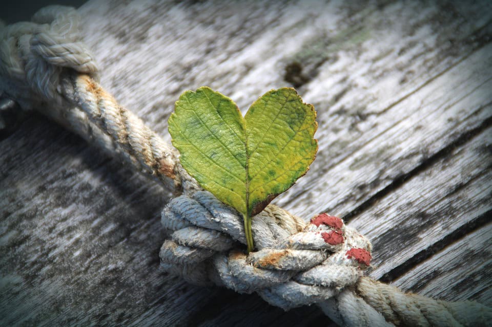 Life Lessons From A Short Story - FocusU