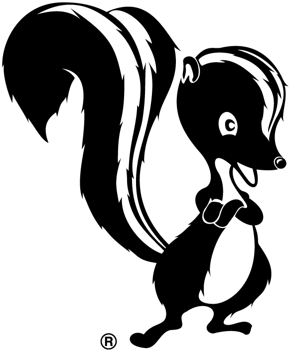 Stories of Great Teams: Part 1: “Skunk Works”! - FocusU
