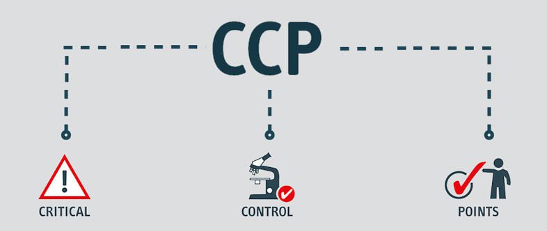 BLOG - Food Safety Works