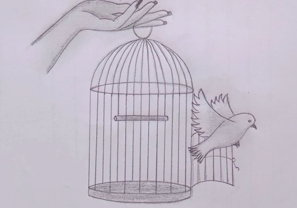 How to Draw a Bird Cage Step by Step