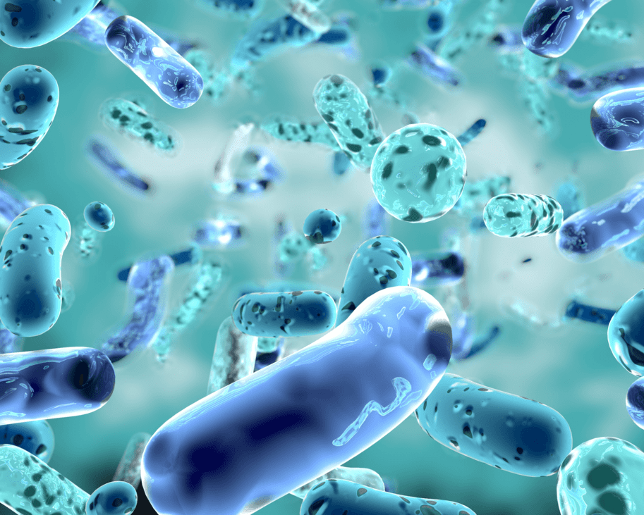 intestinal microflora testing