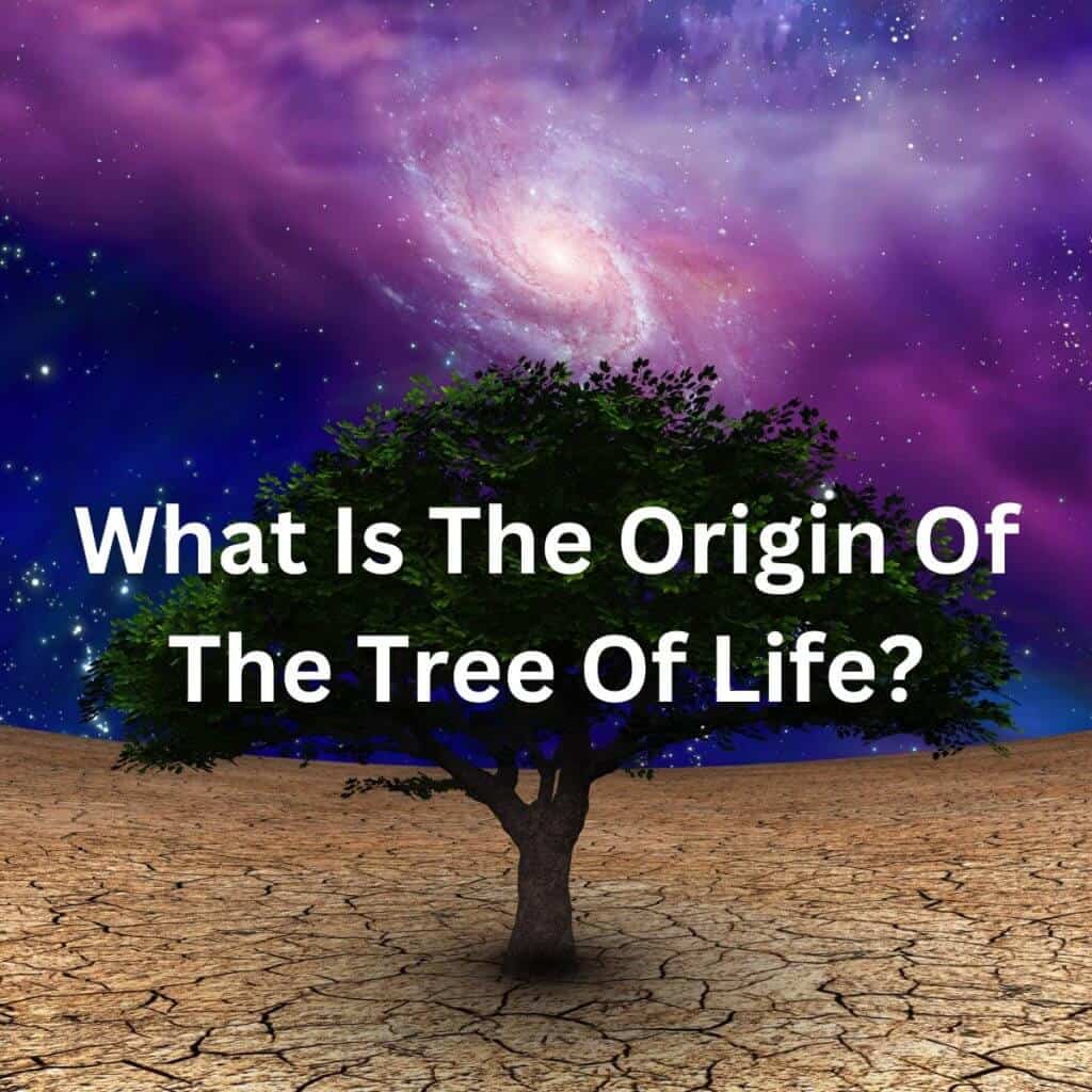 What Does the Celtic Tree of Life Symbolise?