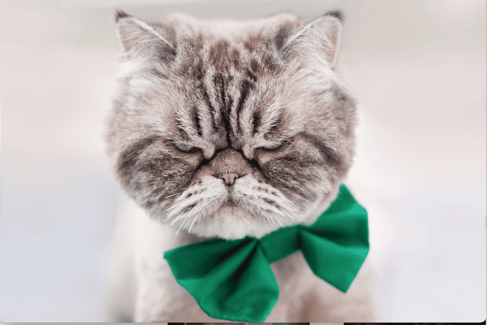 exploding over little things