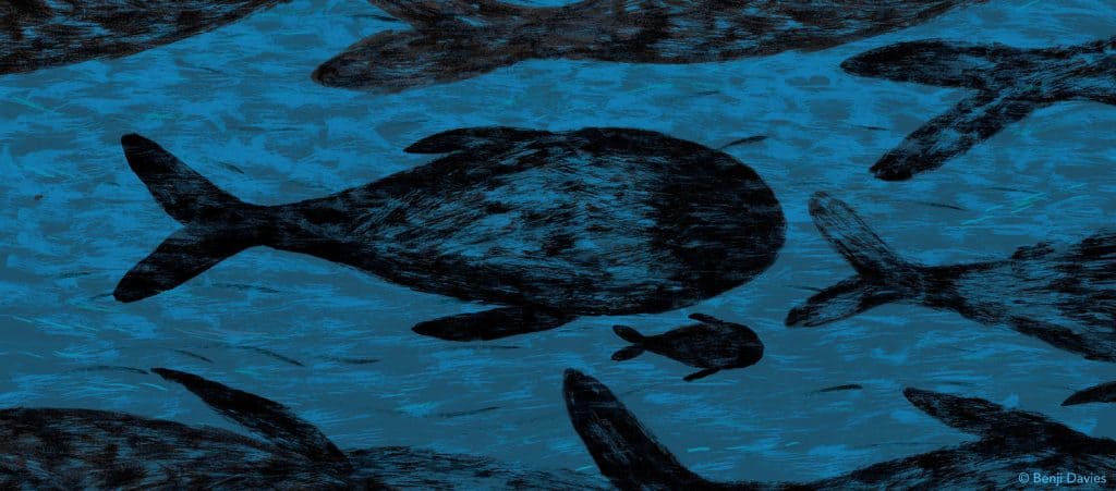 11 interesting ideas to design the endpapers in your picture books ...