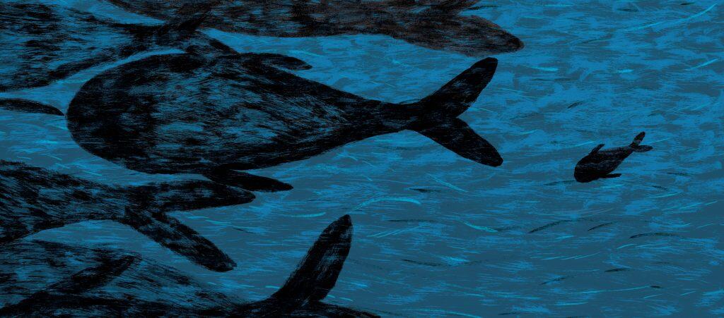 11 interesting ideas to design the endpapers in your picture books ...