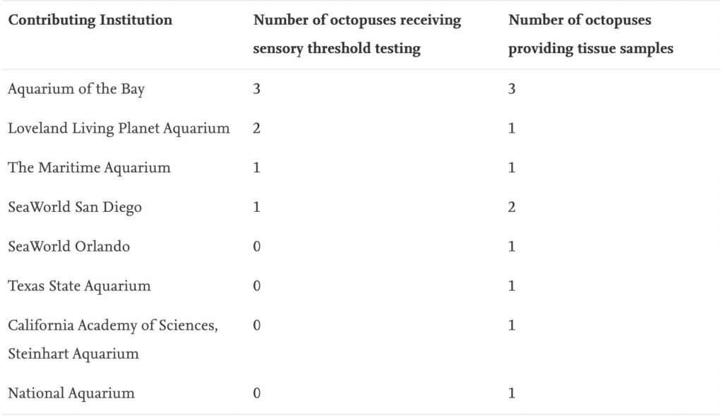 When Do Senescent Octopuses Feel Pain? - OctoNation - The Largest ...
