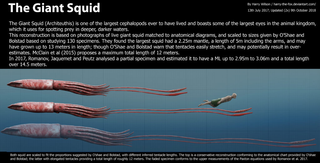 how do squid tentacles work