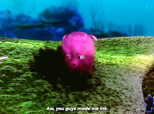 Dumbfounding Flapjack Octopus Facts You NEED To Know! - OctoNation ...