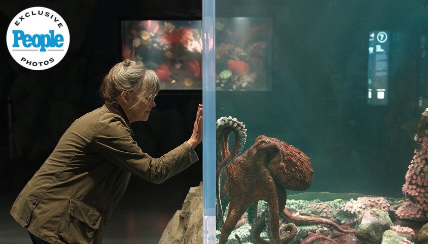 Remarkably Bright Creatures: Netflix's #1 Movie & Marcellus Guide