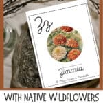 North American WildFlower Alphabet Cursive Cards (Free to Print) - Once ...