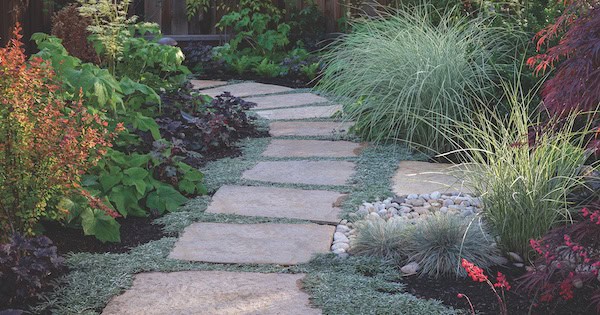 How To Hydrozone Landscape Plants