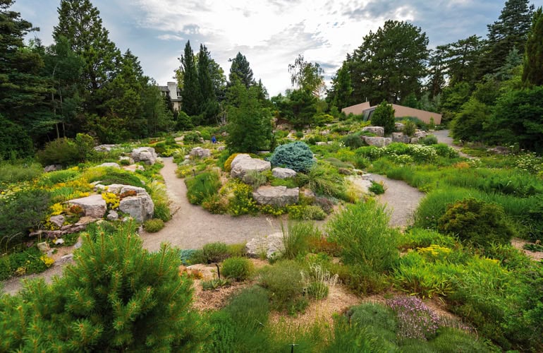 The Best Drought & Flood Tolerant Plants | Featured | TurfMagazine.com