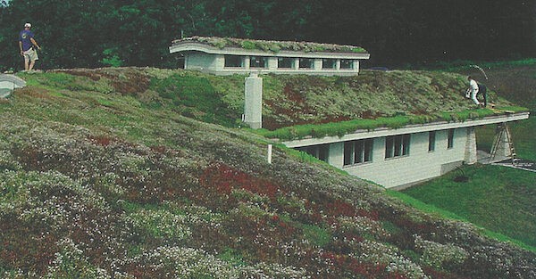 Living Landscapes: Sustainable, Biodiverse Outdoor Environments