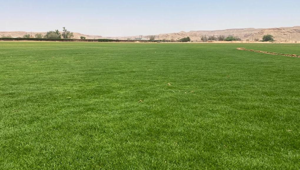 World Cup-Worthy Turfgrass | From the Editor | TurfMagazine.com