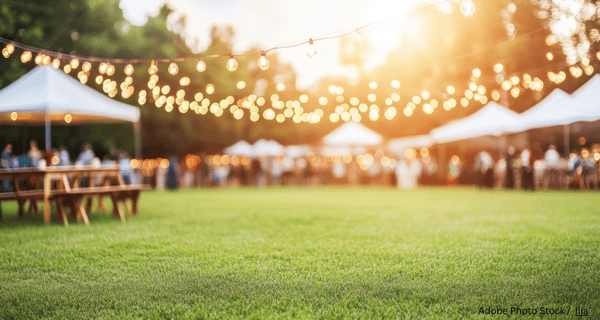 High-Traffic Lawn Protection: Keep Your Grass Looking Great