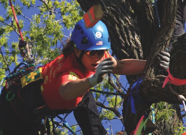 Out On A Limb: Arborist Spotlight — Rebecca Seibel | Out on a Limb ...
