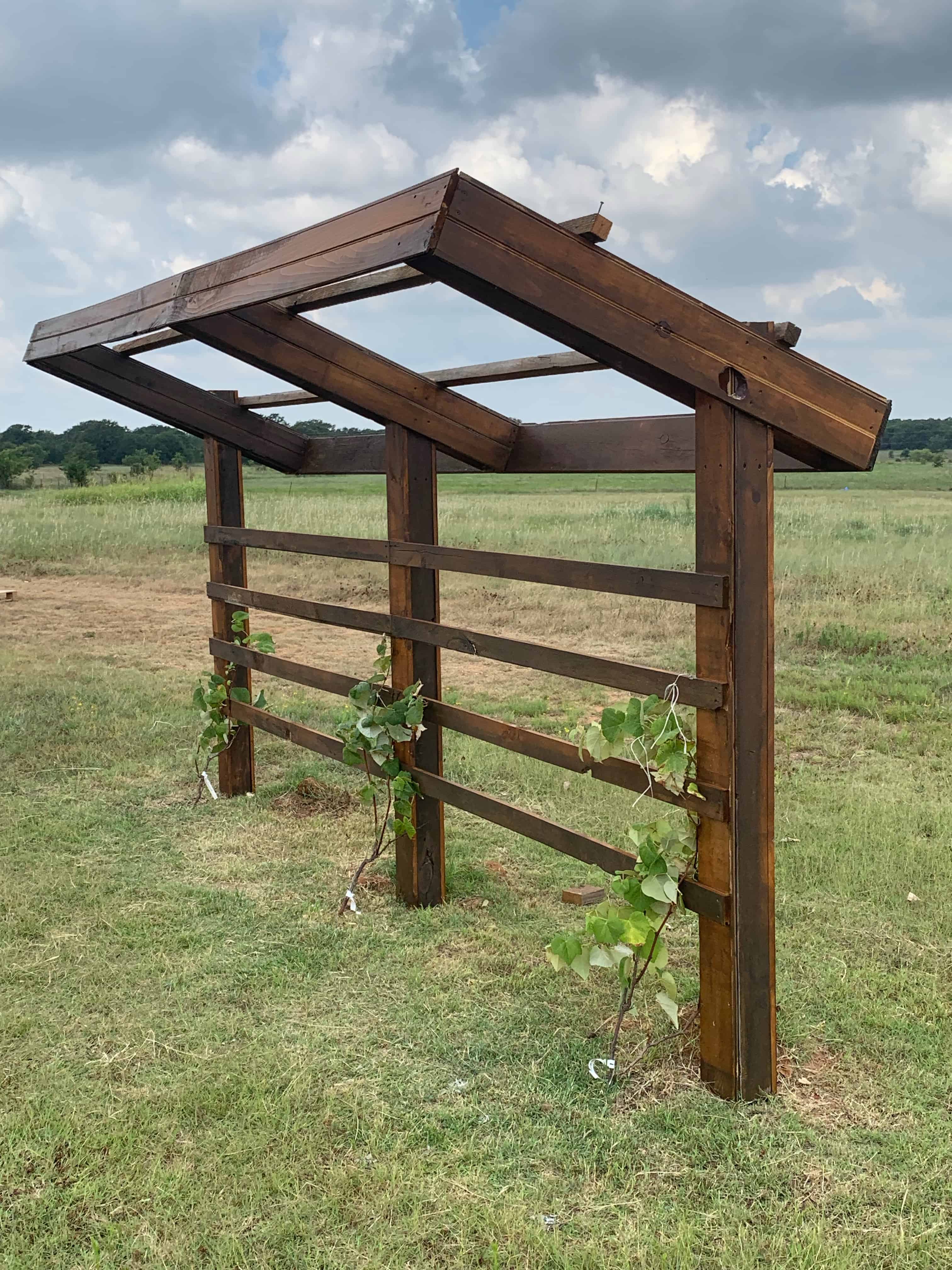 Expert How-to; Build a Beautiful & Simple Grape Arbor - Two Oaks Farm ...