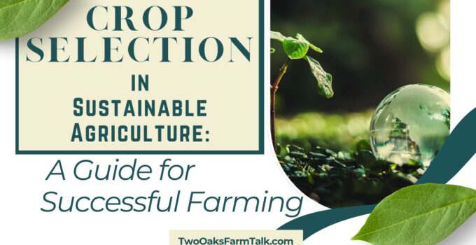 Crop Selection in Sustainable Agriculture: A Guide for Successful ...