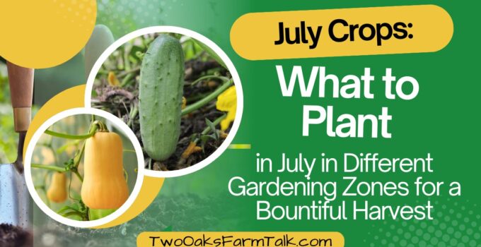 July Crops: What to Plant in Different Gardening Zones for a Bountiful ...