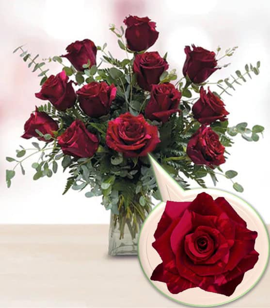 Red PANTHER Roses - VIP Floral – Las Vegas Florist & Flowers Delivery