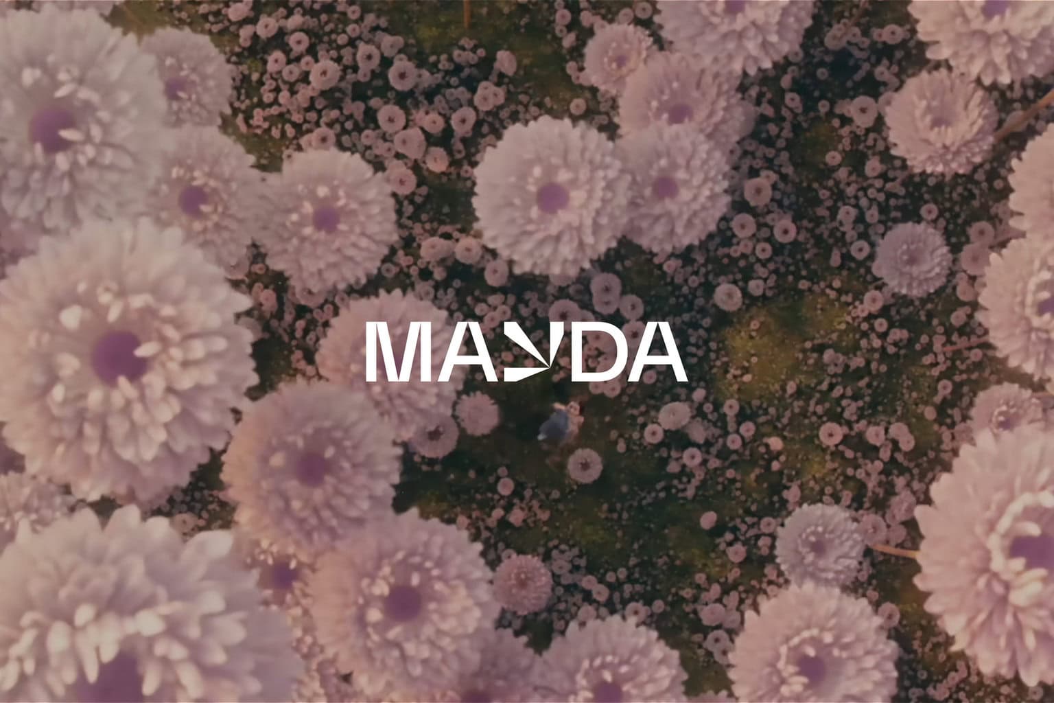 Mayda — VISUELLE